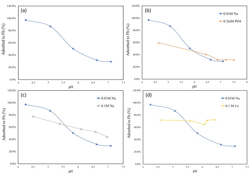 PFAS sorption to reactive soil components